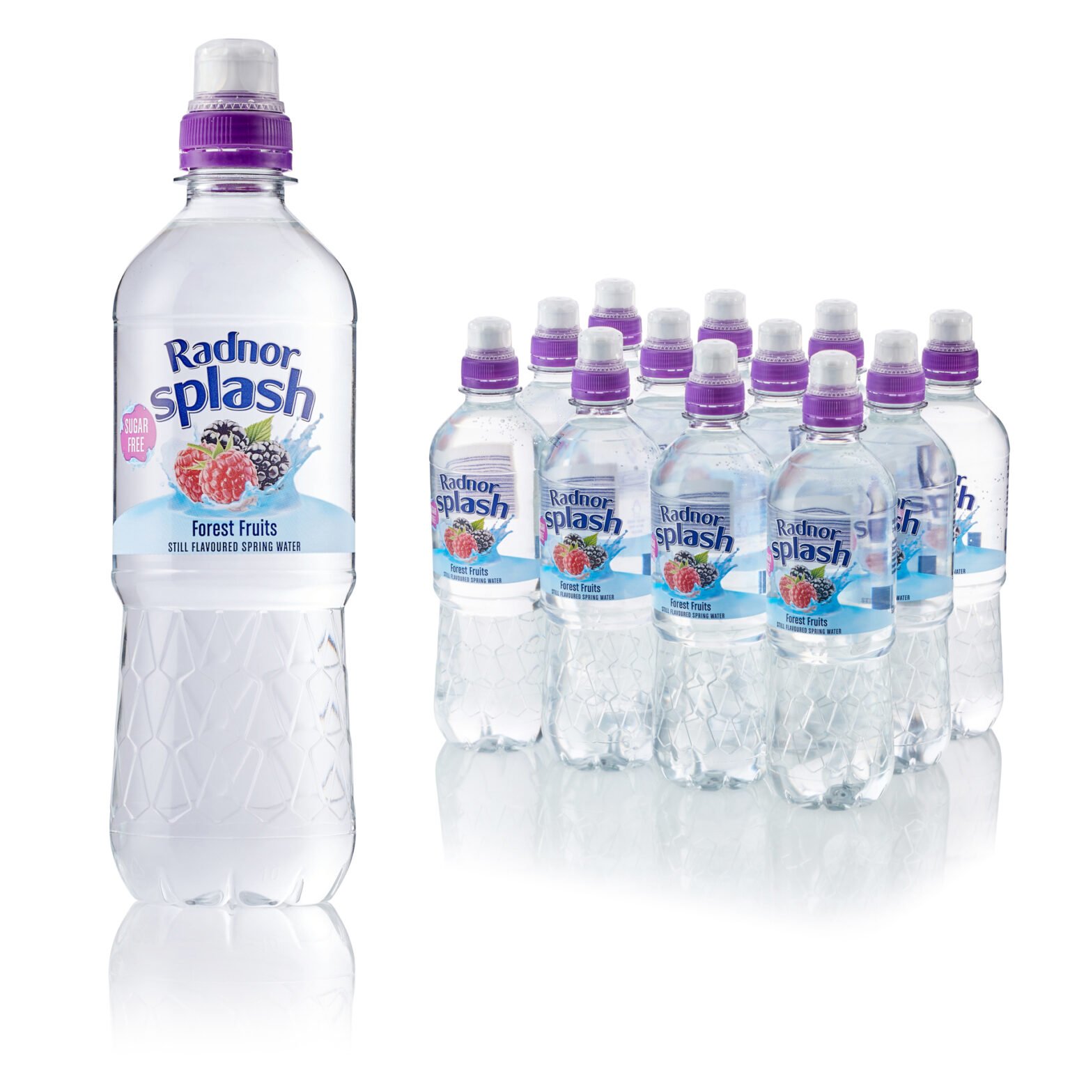 Splash Sparkling Lemon and Lime - Buy Online from Radnor Hills