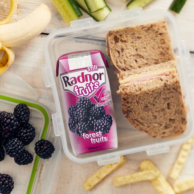 Radnor Fruits Still (Tetra) Forest Fruits - Buy Online from Radnor Hills