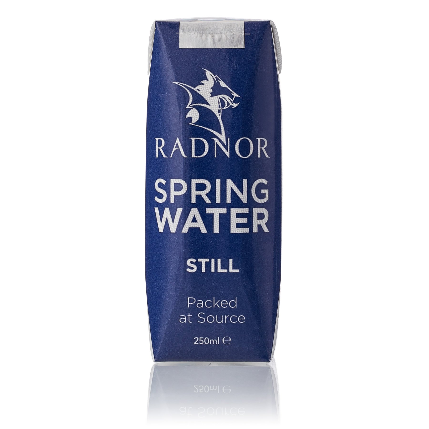 Still Spring Water Still Tetra 250ml - Buy Online from Radnor Hills