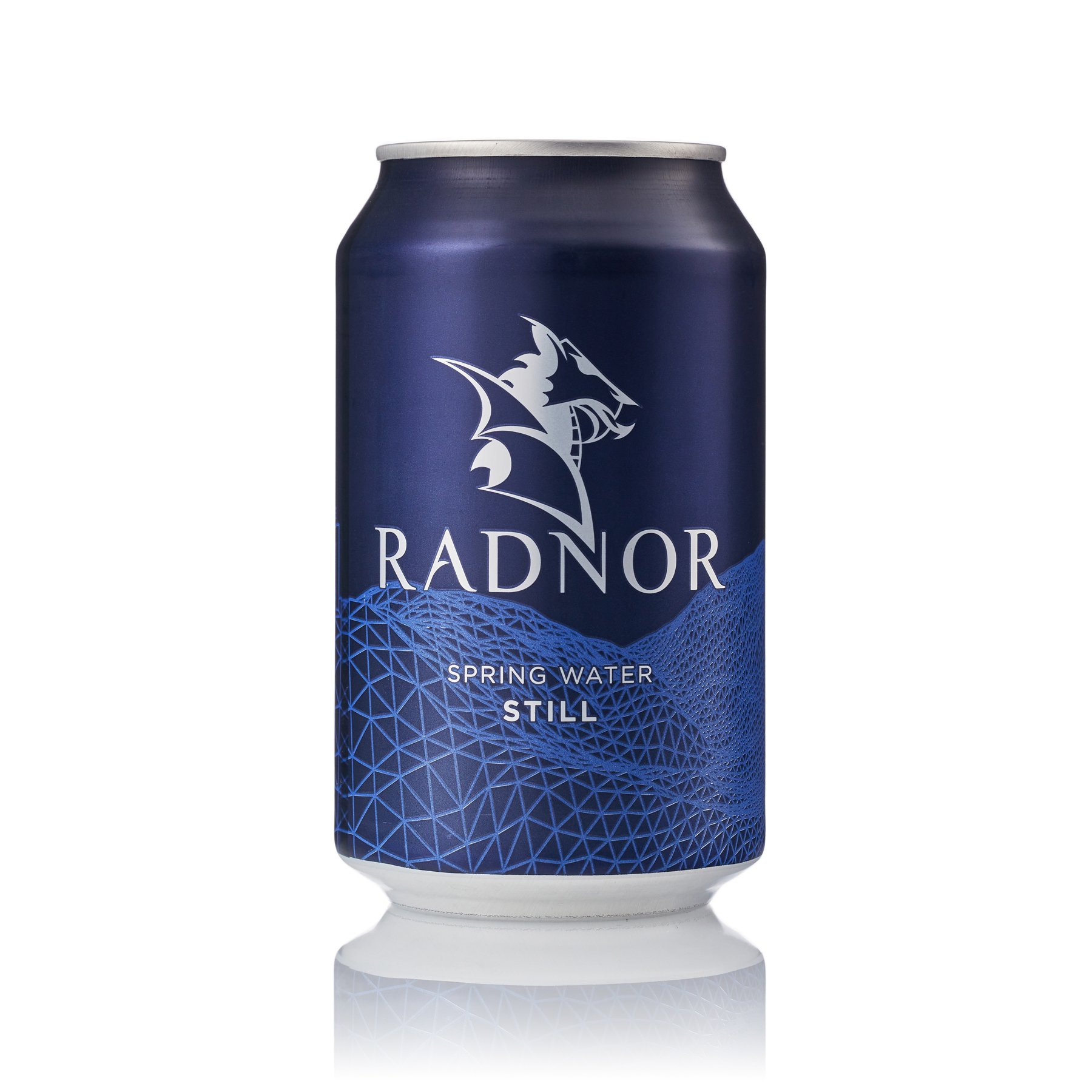Sparkling Spring Water Sparkling Can 330ml - Buy Online from Radnor Hills