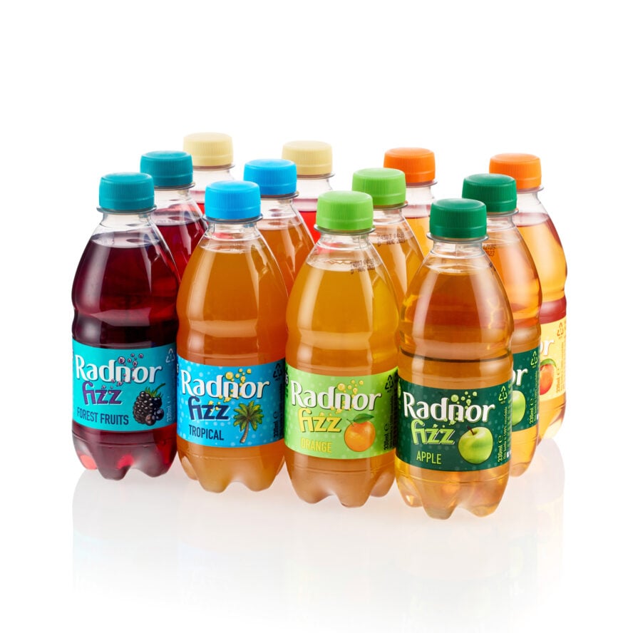 Radnor Fizz Radnor Fizz Mixed Case - Buy Online from Radnor Hills